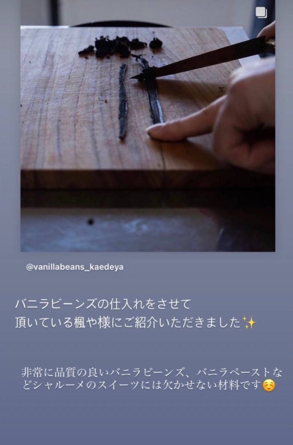 お客様の声一覧 – VANILLABEANS.JP